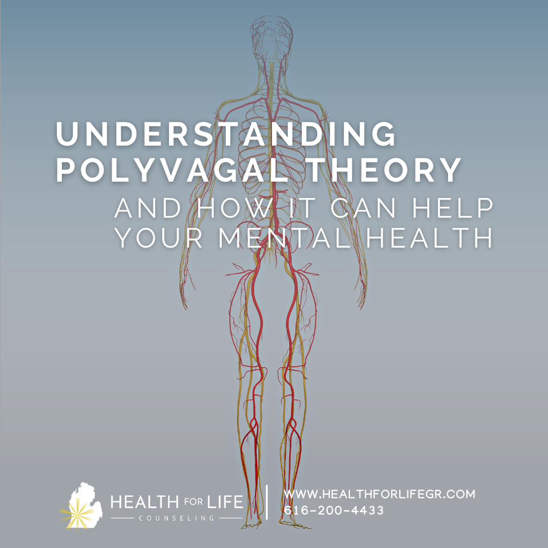 Understanding Polyvagal Theory And How It Can Help Your Mental Health ... Understanding Polyvagal Theory And How It Can Help Your Mental Health ...
